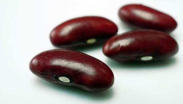 Pse duhet të hani më shumë fasule, faktet që duhet të dini | Gazeta ...