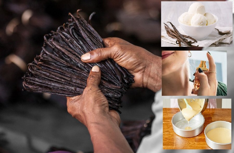 Ja përse vanilja është ndër bimët më të shtrenjta në botë | Gazeta Telegraf