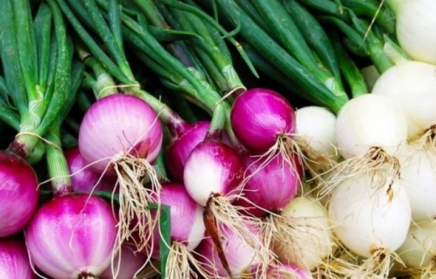 Ja ndikimi i qepës në përmirësimin e problemeve shëndetësore | Gazeta ...