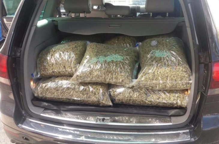 Policia sekuestron 16 kg lëndë narkotike në Himarë | Gazeta Telegraf Policia sekuestron 16 kg lëndë narkotike në Himarë | Gazeta Telegraf