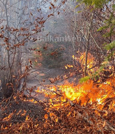 FOTO/ Zjarr te “Guri i Capit” në zonën e mbrojtur, pamjet nga vendi i ...